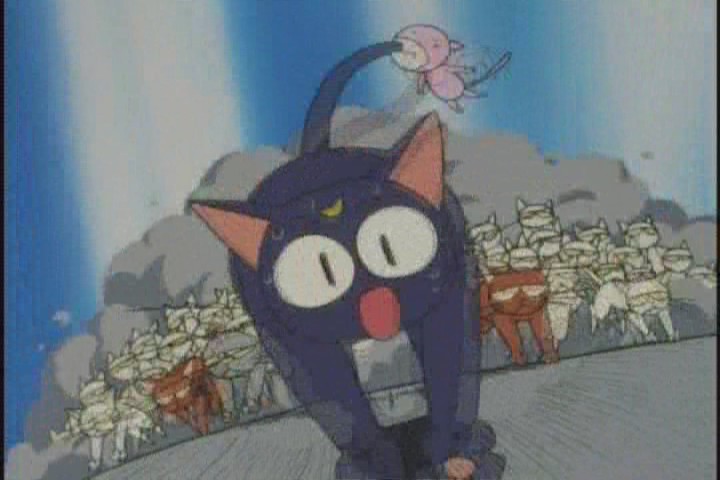 Kitty Chaos | Sailor Moon Crystal Wiki | Fandom Kitty Chaos | Sailor Moon Crystal Wiki | Fandom