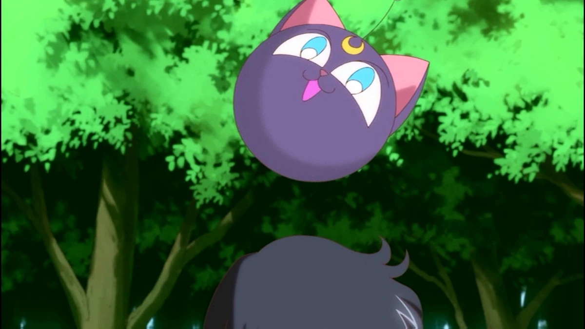 Luna-P Image Gallery | Sailor Moon Crystal Wiki | Fandom