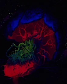 Doom Tree | Sailor Moon Dub Wiki | Fandom