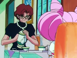 Recipe For Danger | Sailor Moon Dub Wiki | Fandom