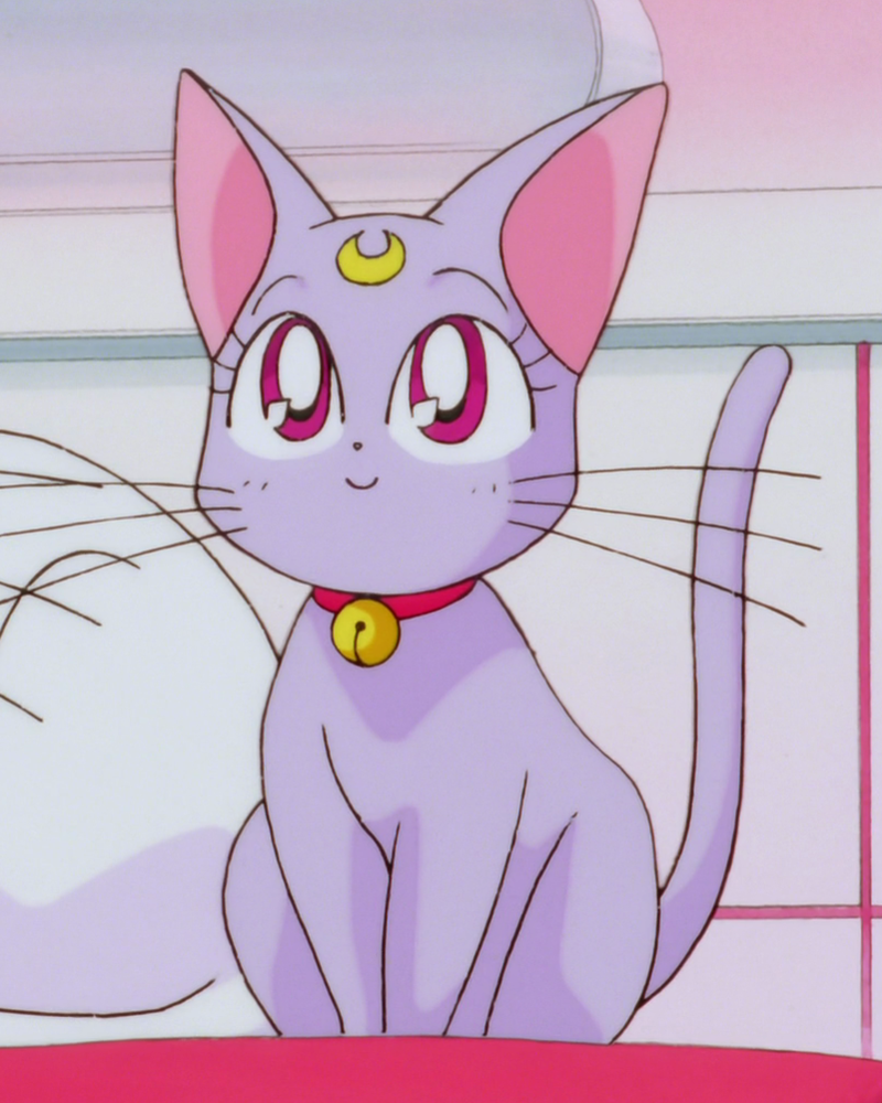 Diana Sailor Moon Dub Wiki Fandom