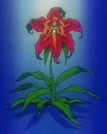 Kisenian Blossom | Sailor Moon Dub Wiki | Fandom
