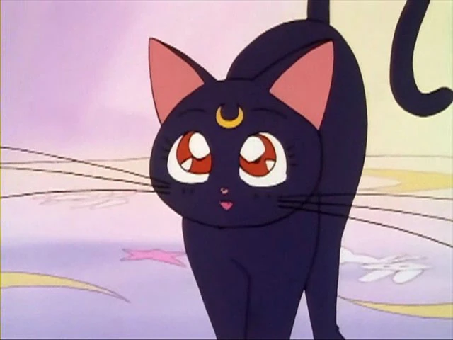 Luna (SOL) | Sailor Moon Fanon Wiki | Fandom
