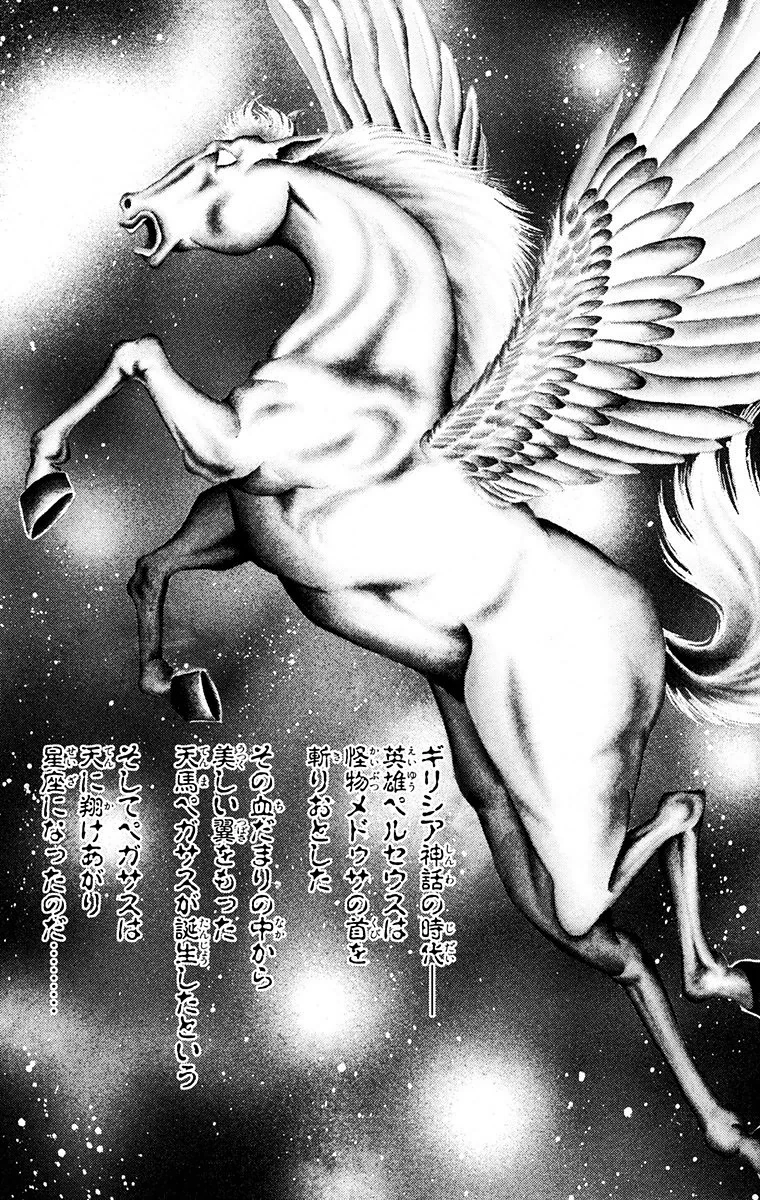 Pegasus | Saint Seiya Taizen | Fandom