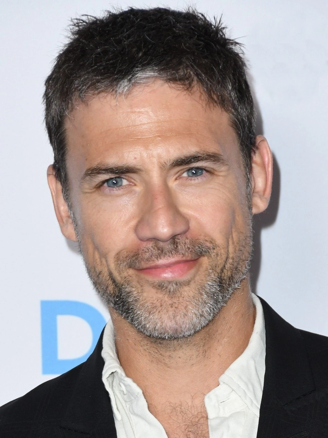 Adam Rayner | The Saint Wiki | Fandom