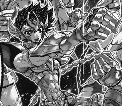 Cloth de Pegasus | Saint Seiya Wiki | Fandom
