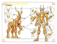 Shura du Capricorne | Wiki Saint Seiya | Fandom