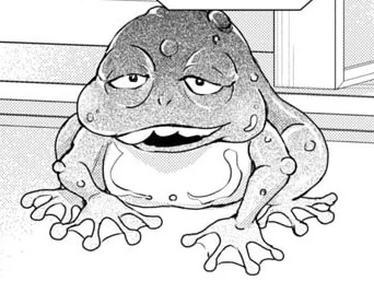 Zelos de Frog (Saint Mariya) | Saint Seiya Wiki | Fandom
