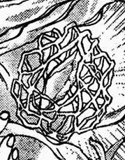 Oricalco | Saint Seiya Wiki | Fandom