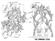 Scale de Lyumnades | Saint Seiya Wiki | Fandom