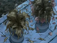 Pandora Heinstein | Saint Seiya Wiki | Fandom