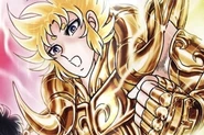 Shion du Bélier | Wiki Saint Seiya | Fandom