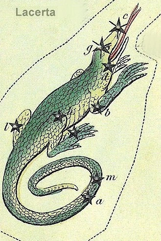 Lacerta | Saint Seiya Wiki | Fandom