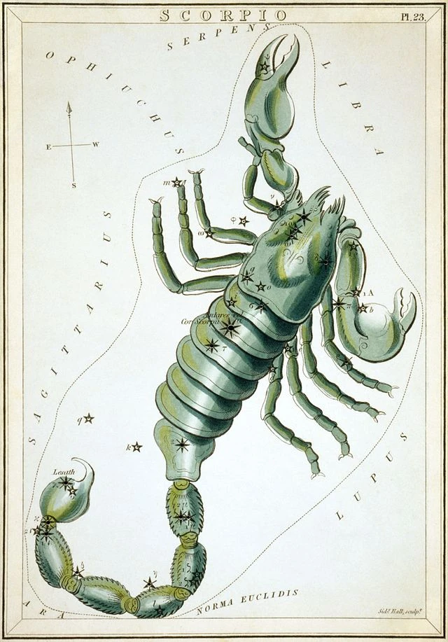 Scorpius | Saint Seiya Wiki | Fandom