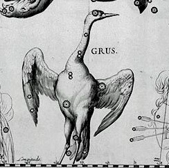 Armadura de Grou | Saint Seiya Wiki | Fandom