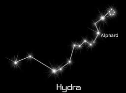 Hydra | Saint Seiya Wiki | Fandom