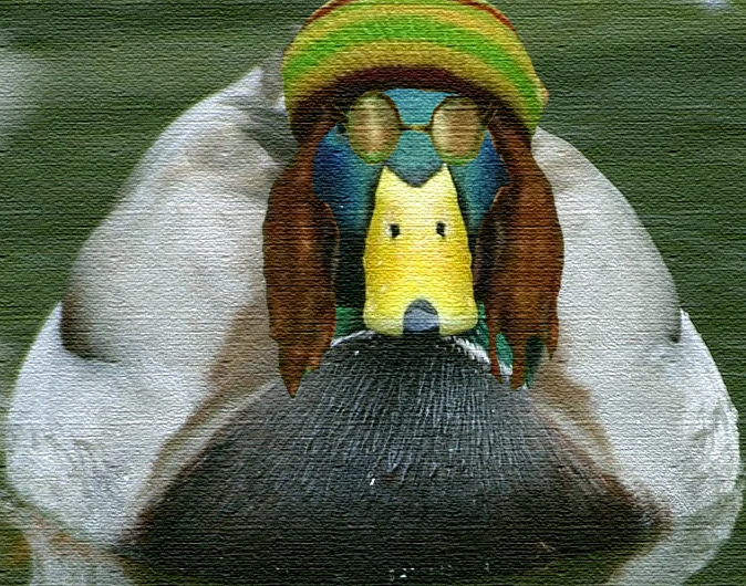 Duck Face | Saints Row Fan Fiction Wiki | Fandom