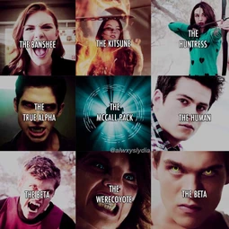 McCall Pack | Saiyan Twins Wiki | Fandom