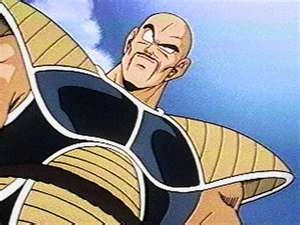 Nappa | Saiyan Fan Club Wiki | Fandom