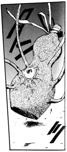 Gourd | Saiyuki Wiki | Fandom