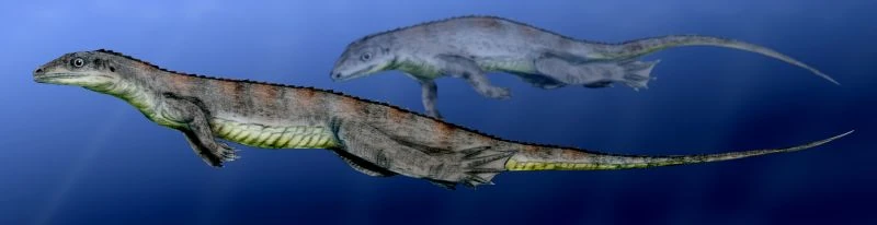 Acerosodontosaurus | Sakana's Wiki | Fandom