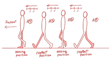 Walk cycle | Sakuga Wiki | Fandom