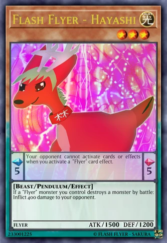 Flash Flyer - Hayashi | Sakurapedia Wiki | Fandom