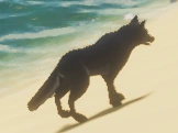 Trained Wolf | Salt 2: Shores of Gold Wiki | Fandom