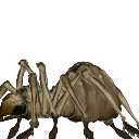 Bedspider | SaltandSanctuary Wikia | Fandom