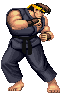 Ryu (SSF2) | SaltyPedia Wiki | Fandom