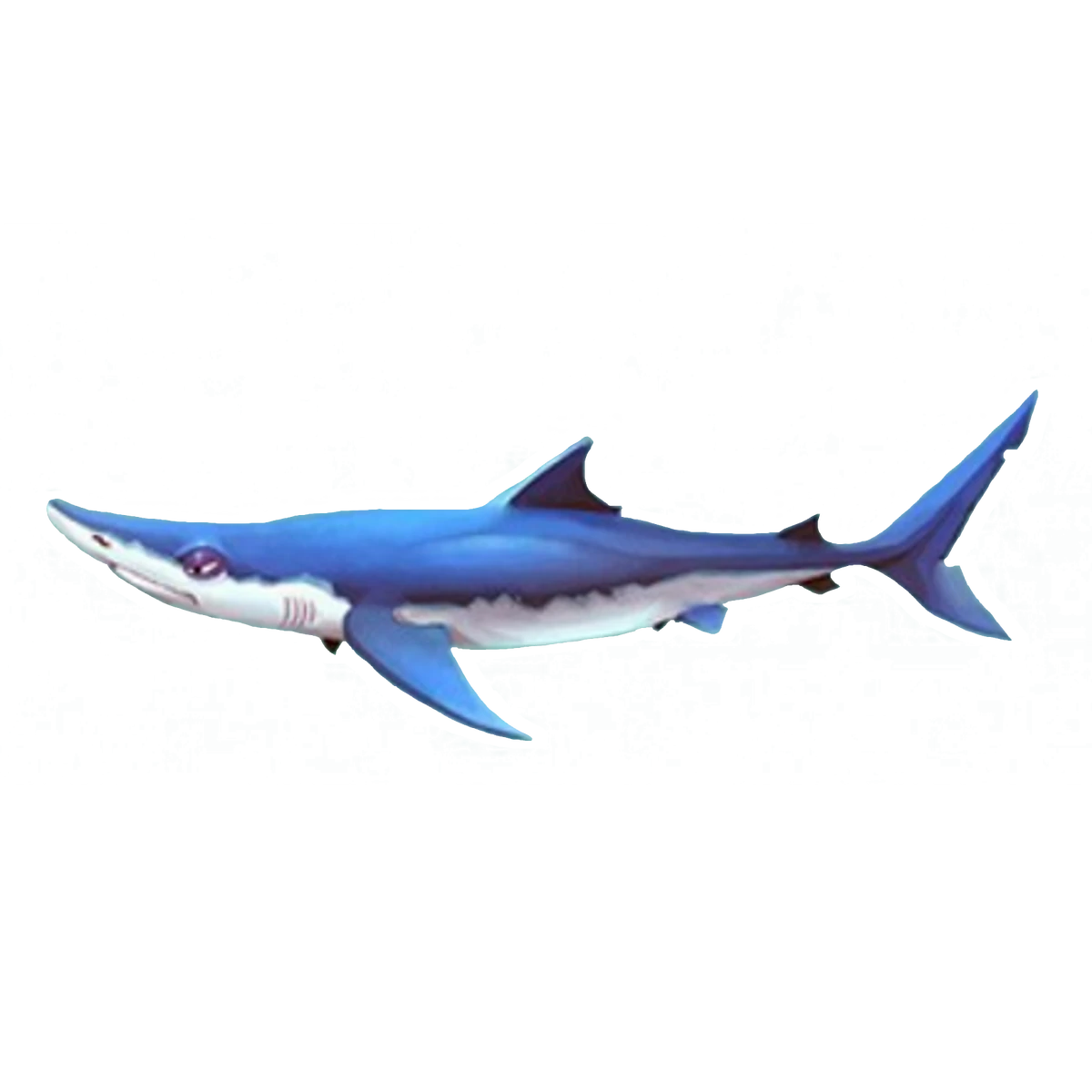 Blue shark | Sam and zac Wiki | Fandom