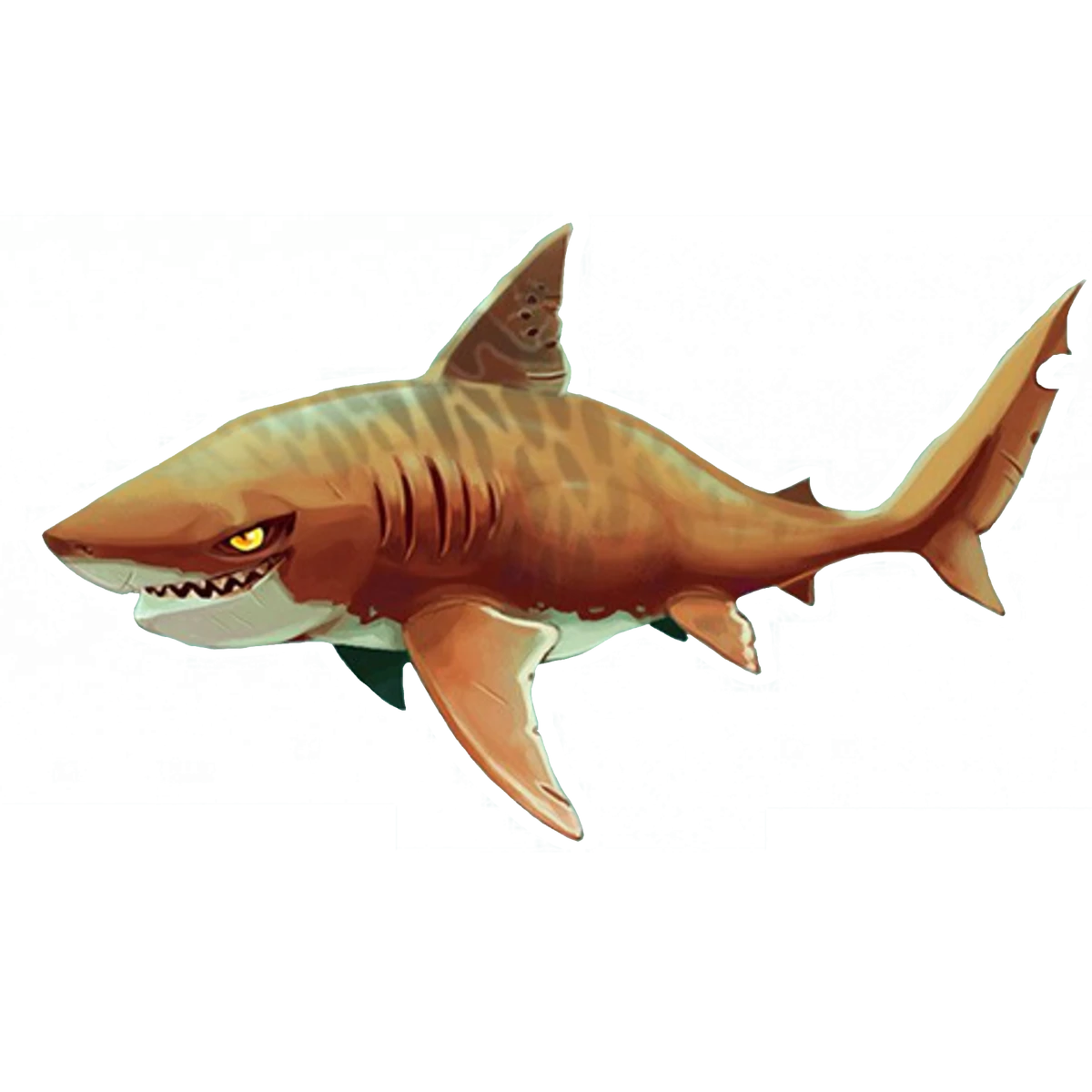 Tiger shark | Sam and zac Wiki | Fandom