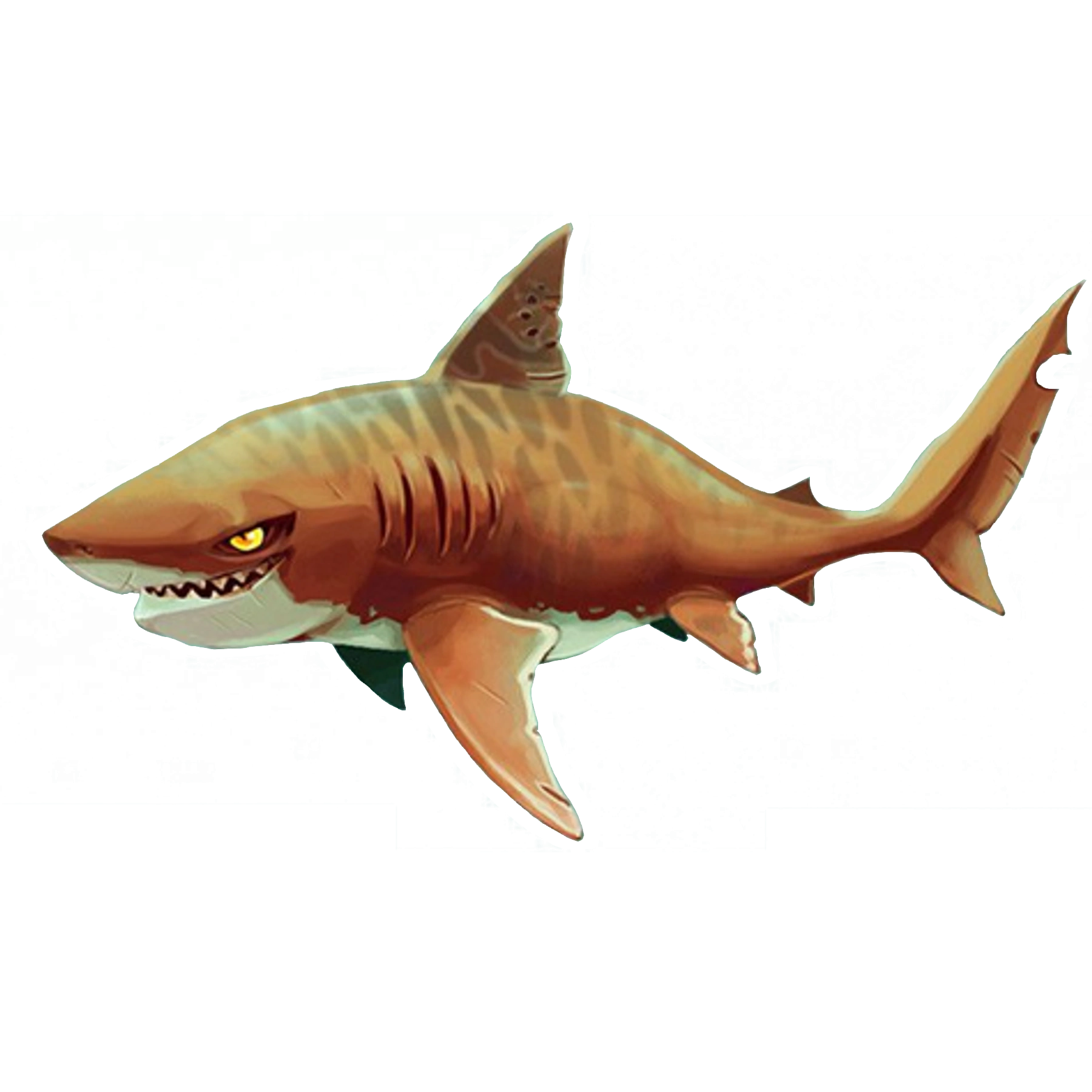 Tiger shark | Sam and zac Wiki | Fandom