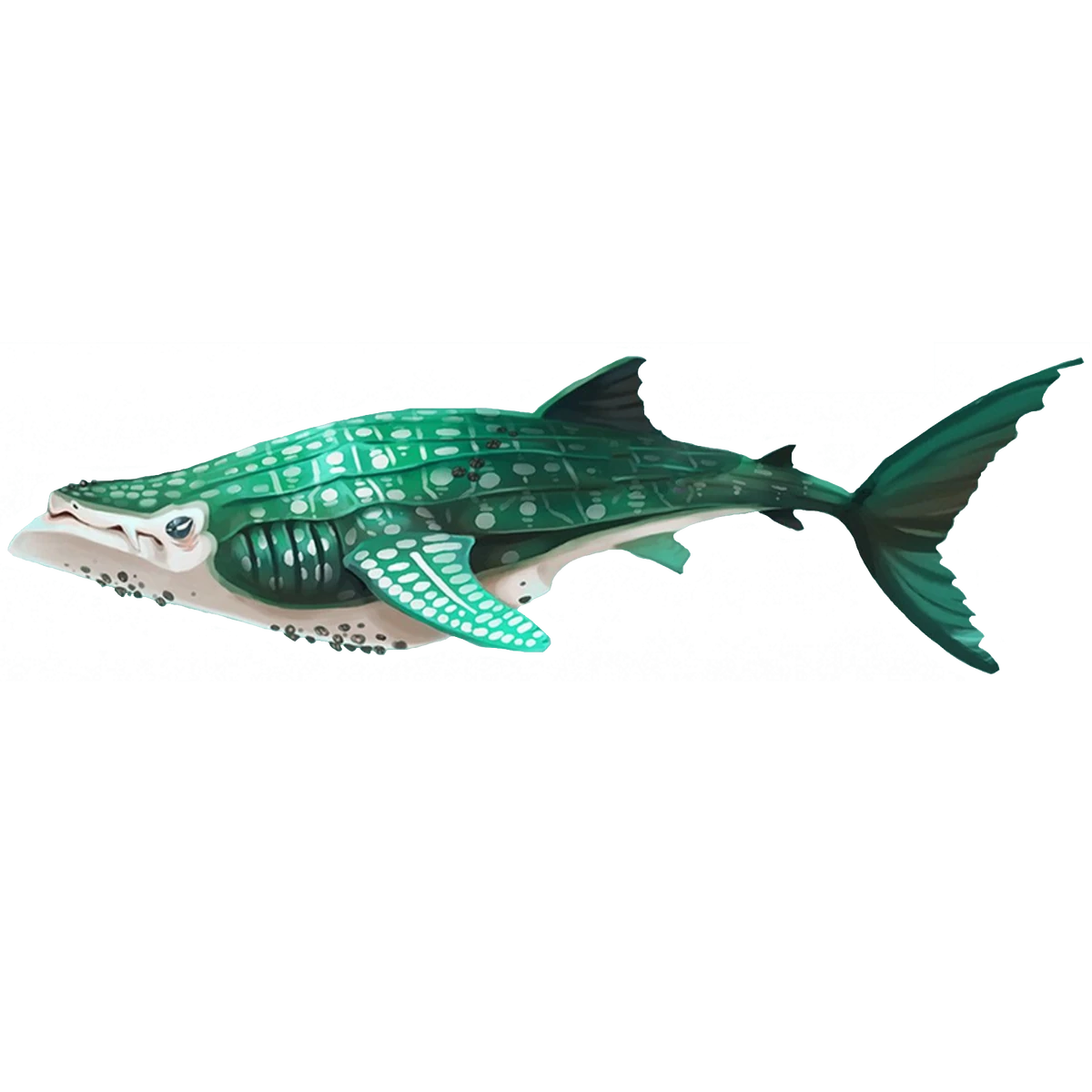 Whale shark | Sam and zac Wiki | Fandom