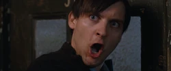Spider-Man | Sam Raimi's Spider-Man Wiki | Fandom