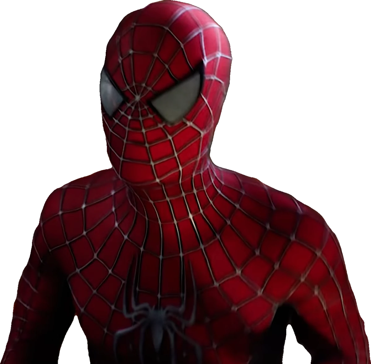 Spider-Man Suit | Sam Raimi's Spider-Man Wiki | Fandom