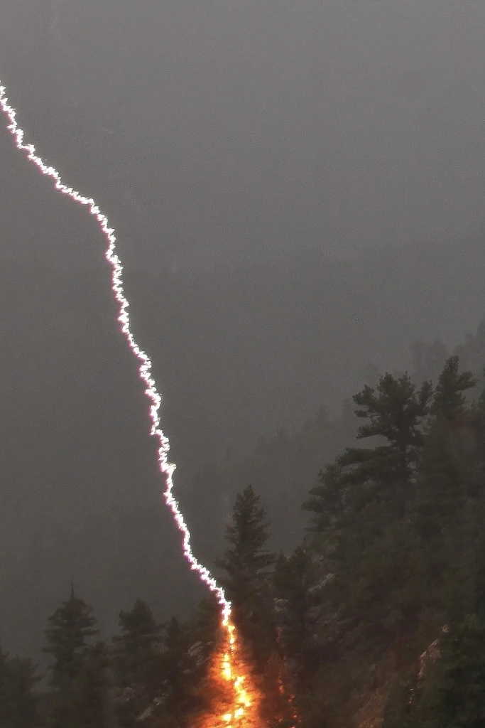 Giovanny Garcia Vargas | Samala Wiki | Fandom