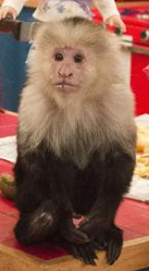 Futz | Sam and Cat Wiki | Fandom