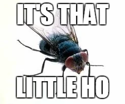 Little Ho | SamanthalovesPie Wikia | Fandom