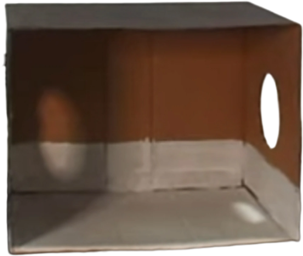 The mystery box | Samme Wiki | Fandom