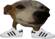 Milo | Samme Wiki | Fandom