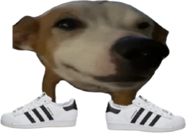 Milo | Samme Wiki | Fandom