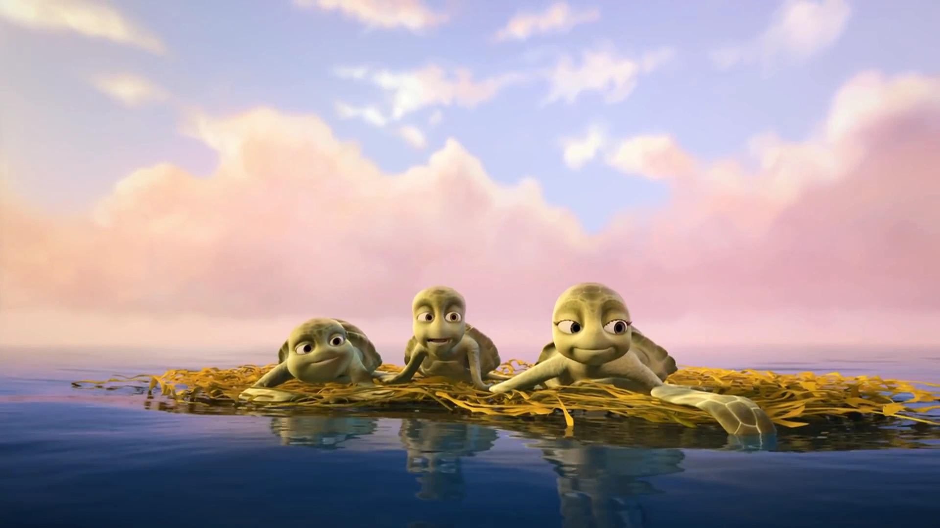 Sammy Turtle Wallpaper