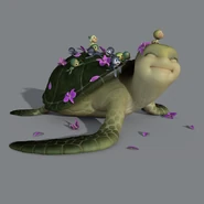 Shelly/Gallery | Sammy Wiki | Fandom