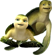 Shelly/Gallery | Sammy Wiki | Fandom
