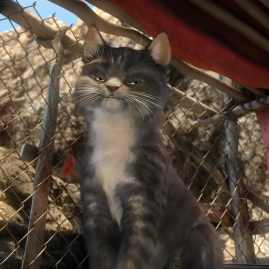 Fluffy | Sammy Wiki | Fandom