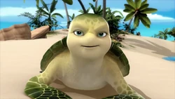 Shelly | Sammy Wiki | Fandom