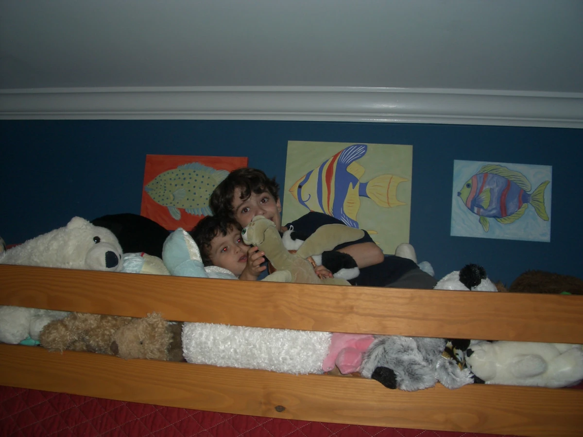 Top Bunk | Sammy Games Wiki | Fandom