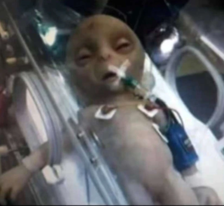 Bébé Alien | Wiki Sammy's Return Officiel | Fandom