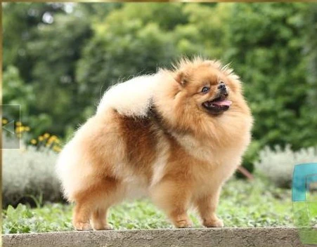 Зара | Samo za Akija Wiki | Fandom